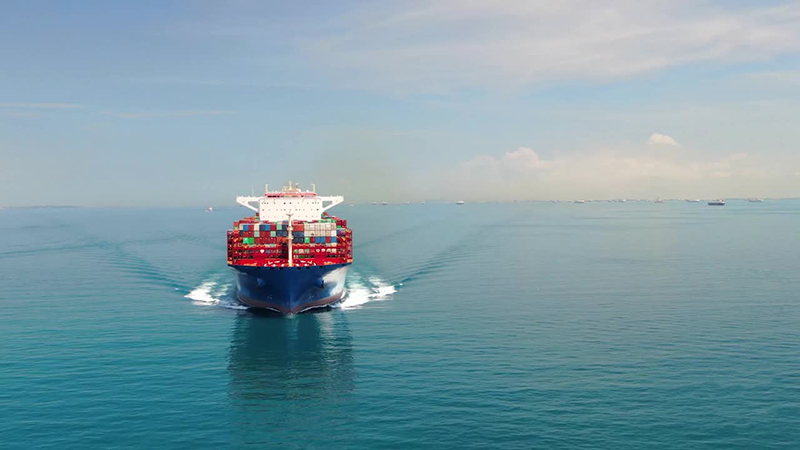 The Role of a Sea Freight Forwarder in International Trade